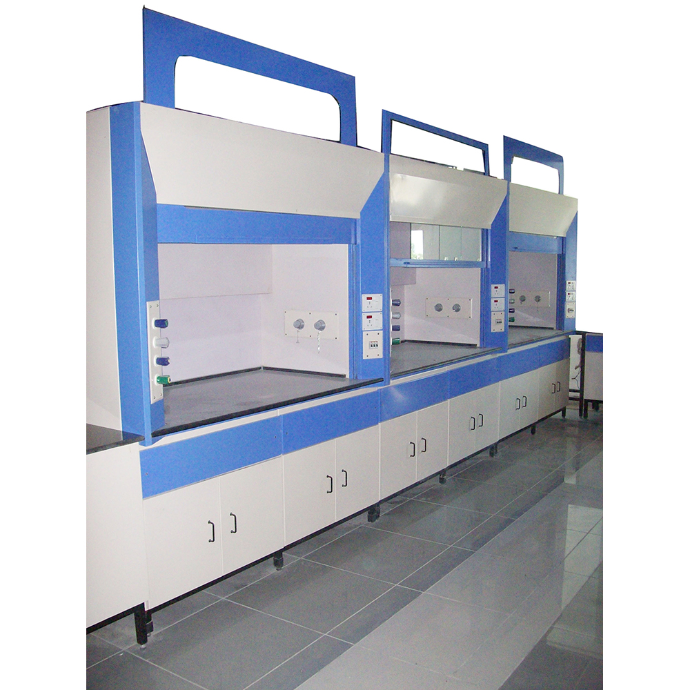 Gallery - Ergo Lab solution