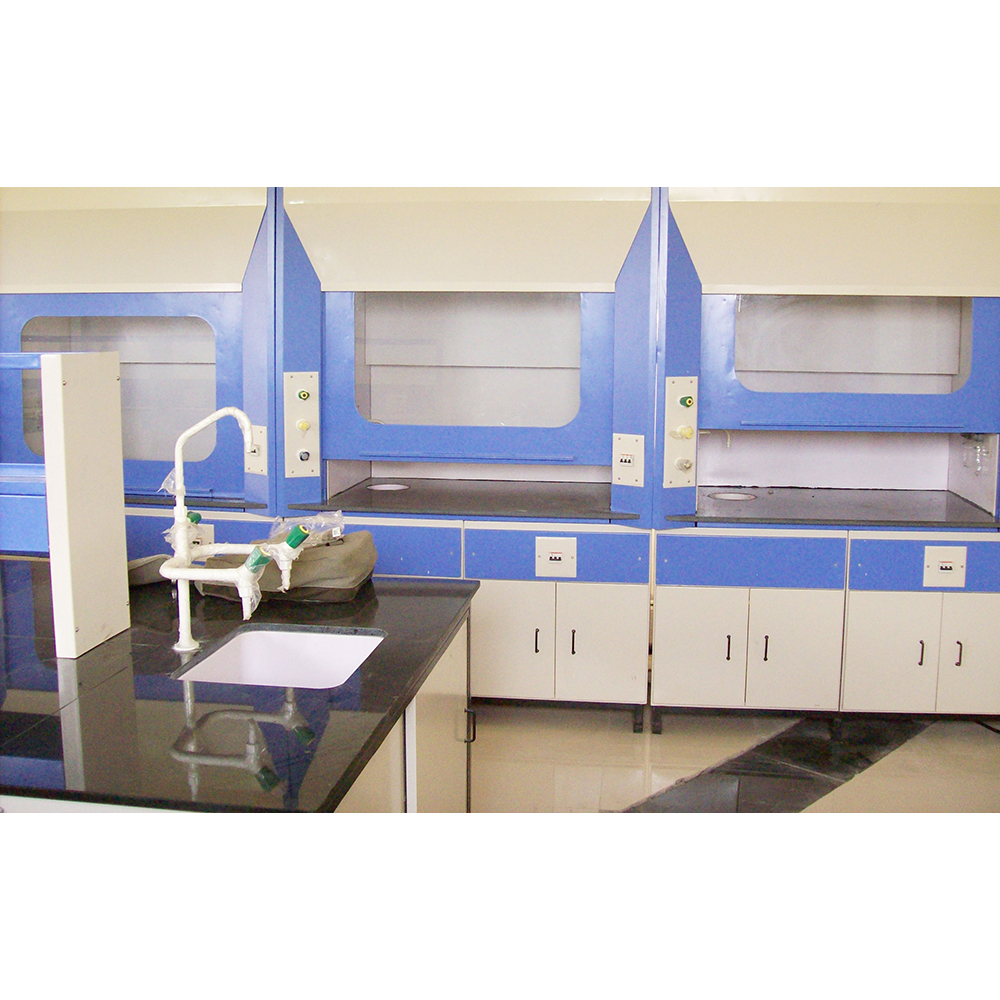 Gallery - Ergo Lab solution